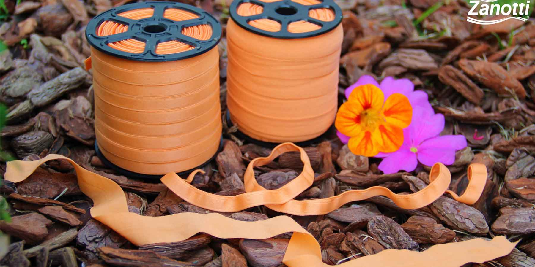 o-tom-laranja-denominado-apricot-crush-e-a-cor-do-ano-2324 - Tendências em Moda Íntima, Fitness ...